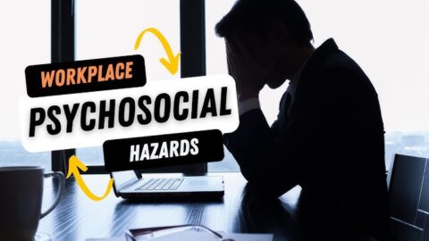 The Impact of Psychosocial Hazards on the Workplace: Insights from ...